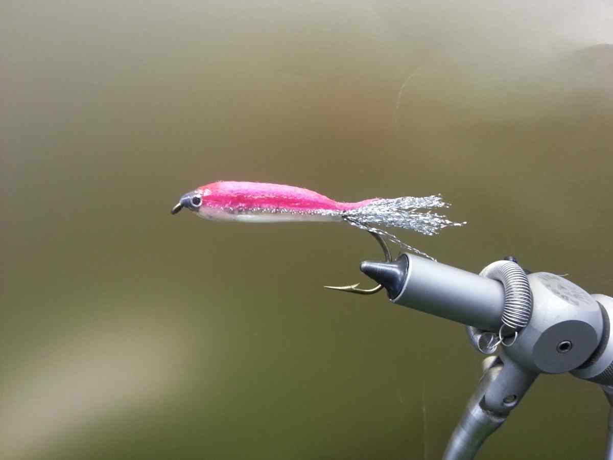 Fly Tying Epoxy Minnow with video and picture
