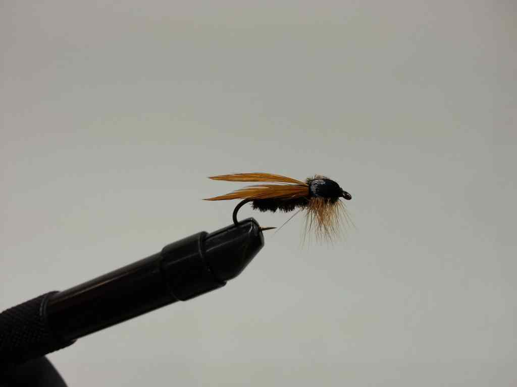 Ivey Lake Flying Black Ant Hatch Is Happening Now