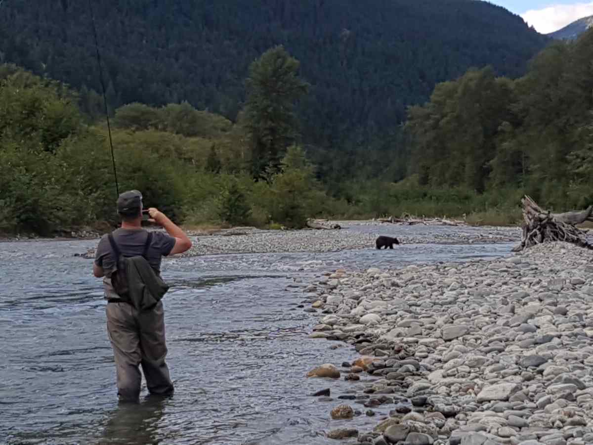 Carrying Bear Spray While Fly Fishing in Salmon-Bearing Streams